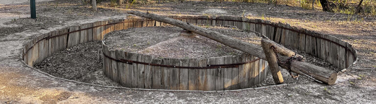 Technology - THE GOLD GLOSSARY